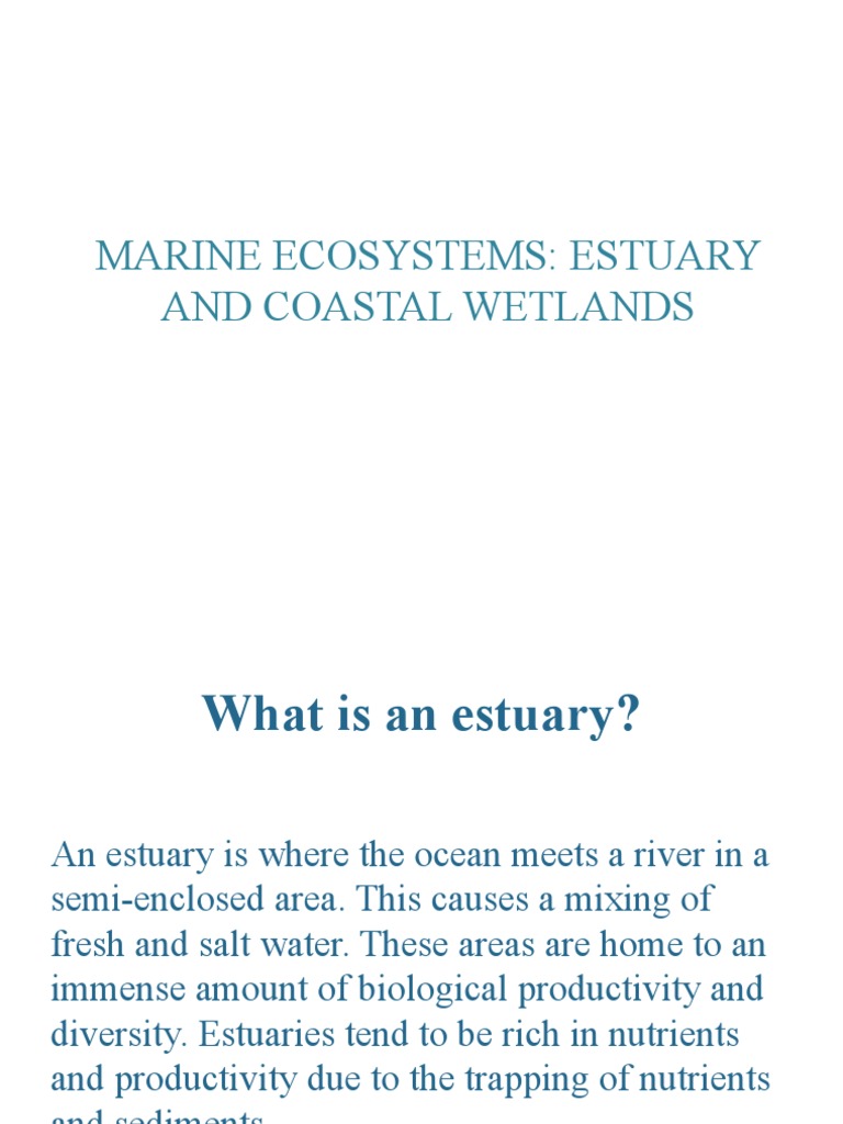 Understanding Estuaries and Wetlands | PDF | Estuary | Systems Ecology