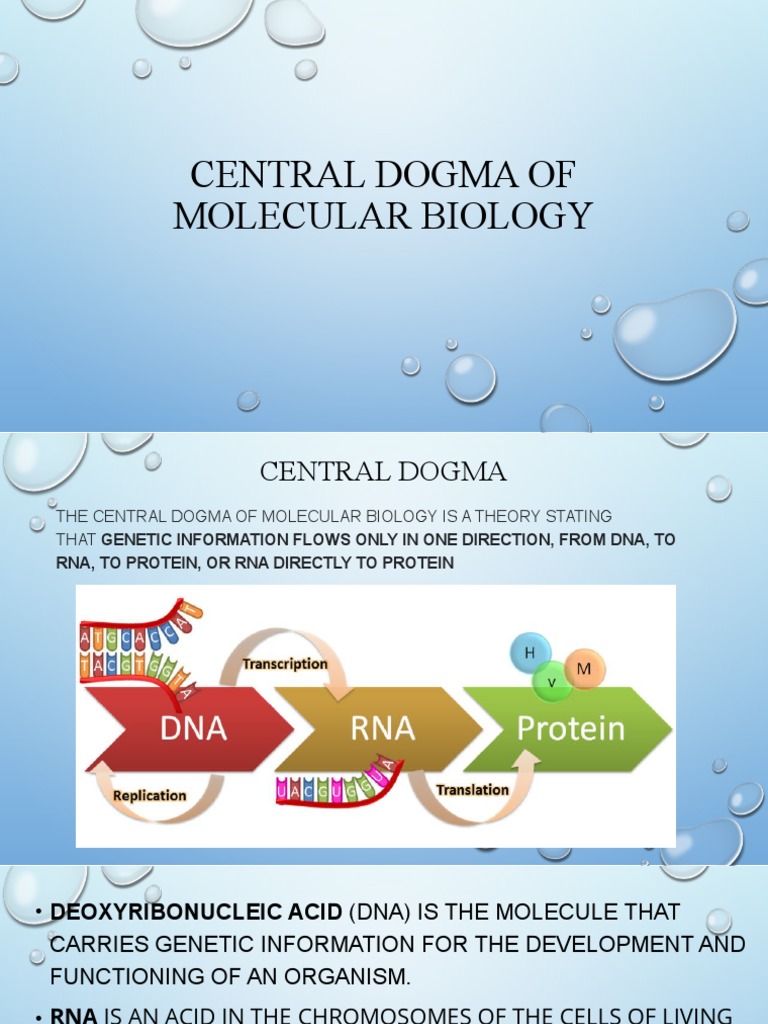 Genetic Information Flow in Biology | PDF