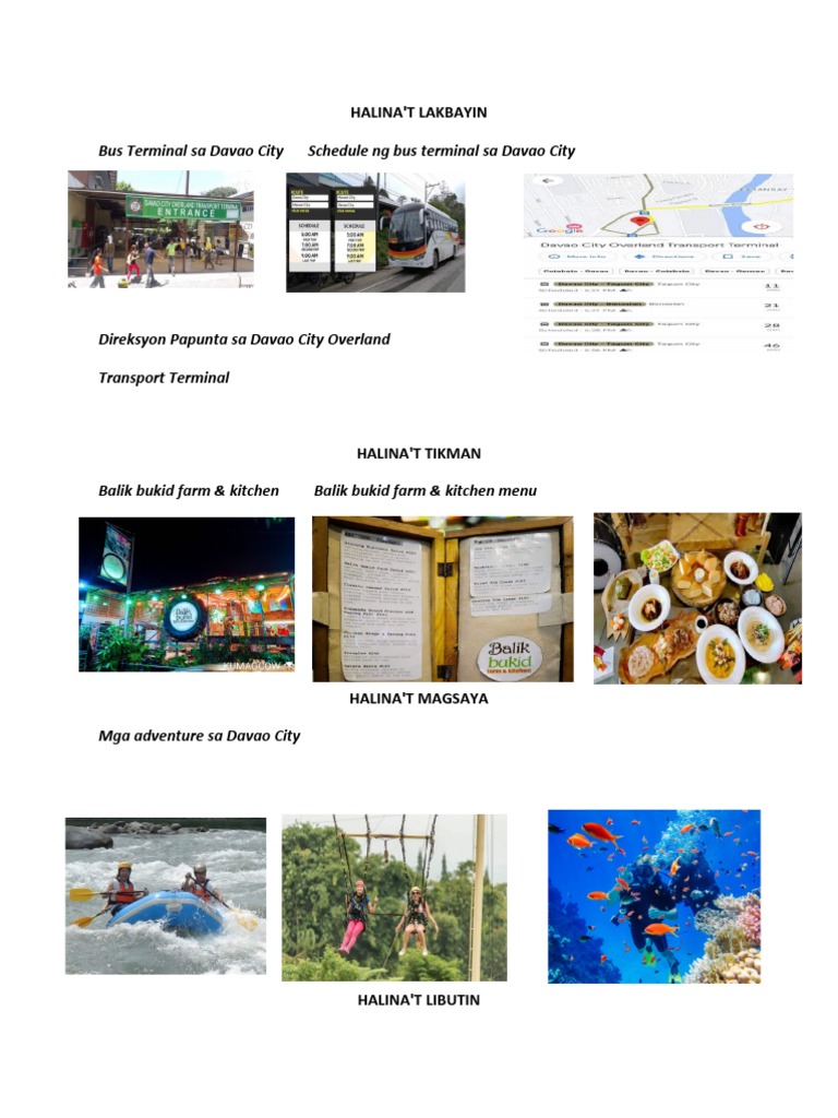 Davao City Travel Guide & Highlights | PDF