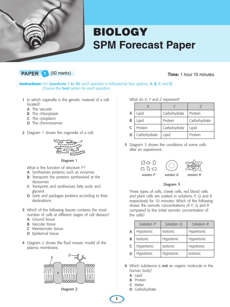 Biology SPM Forecast Papers | PDF | Respiratory System | Photosynthesis