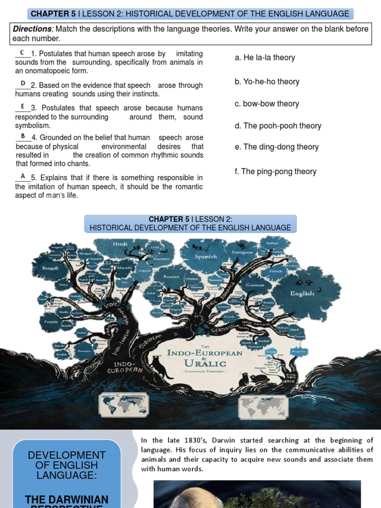Module 5-Lesson 2-4 | PDF | English Language | Cognitive Science