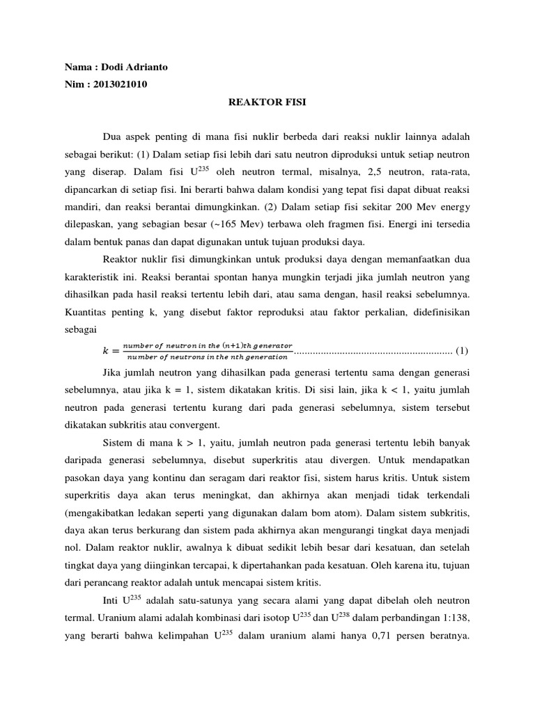Dodi Adrianto - Reaktor Fisi | PDF | Sains & Matematika | Teknologi & Rekayasa