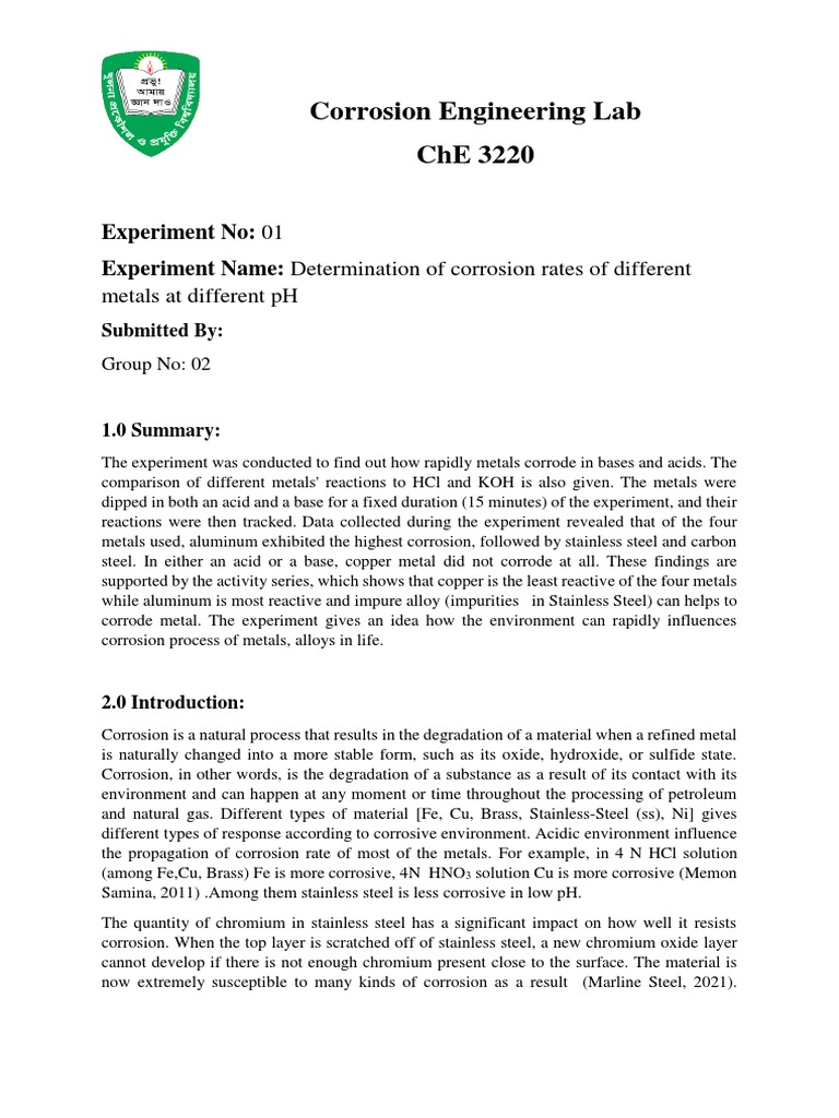 Corrosion Lab Report | PDF | Corrosion | Stainless Steel