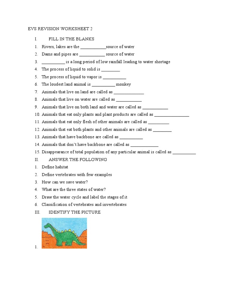 Evs Revision Worksheet 2 | PDF
