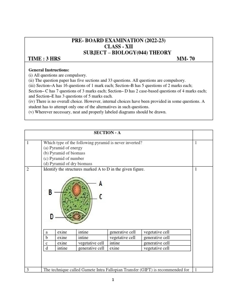 Qp Pbi Bio Xii 2022 23 Pdf Zygosity Dna 