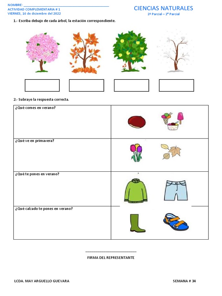 Actividad Complementaria Semana 34 | PDF