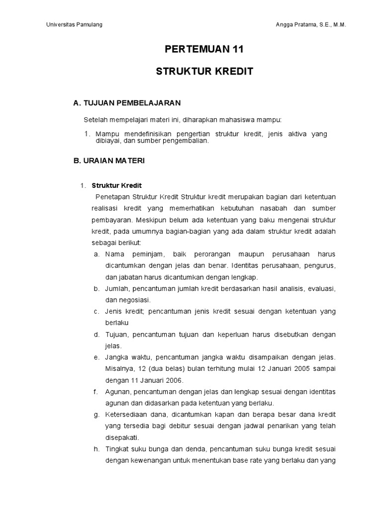 Definisi dan Contoh Struktur Kredit | PDF