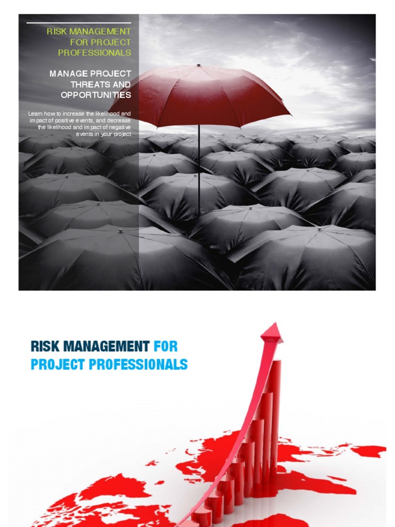 Risk Management Workbook | PDF