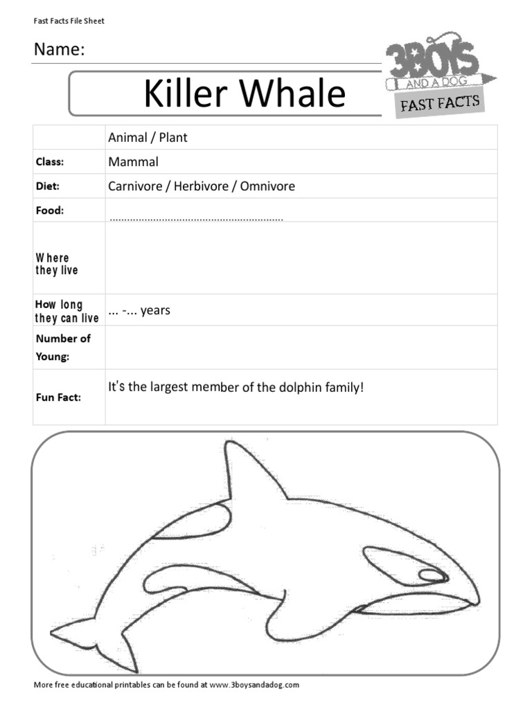Ocean Animals Fast Facts - Updated | PDF | Habitat | Sea