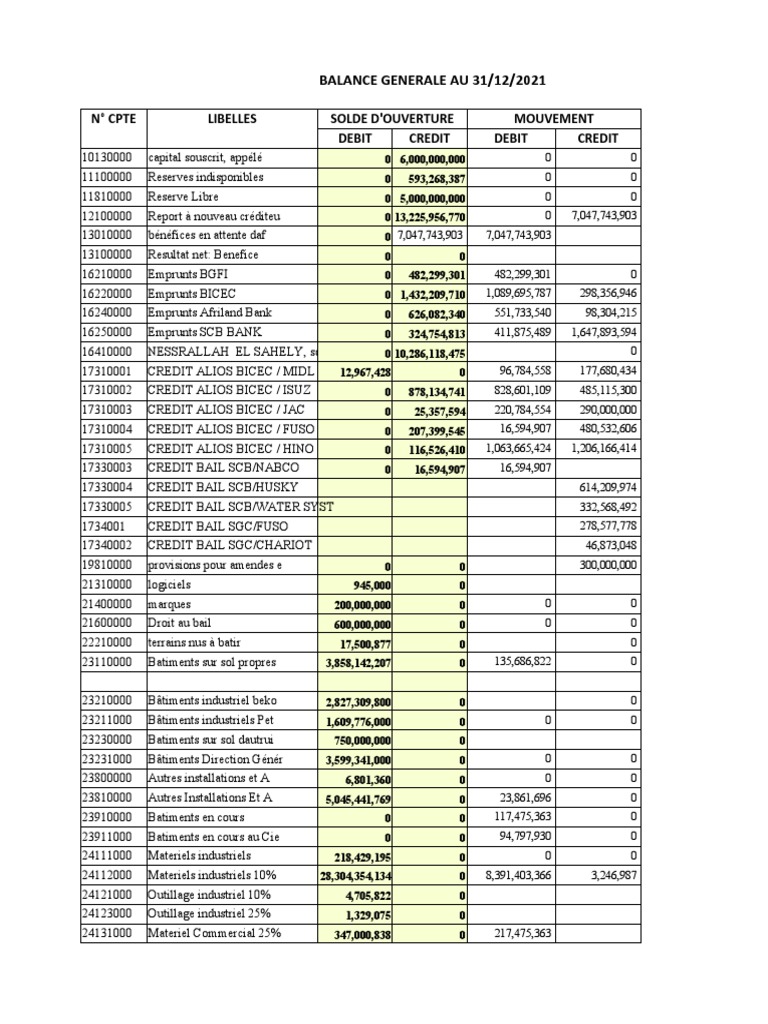 Balance Générale 31/12/2021 | PDF | Économie | Commerce