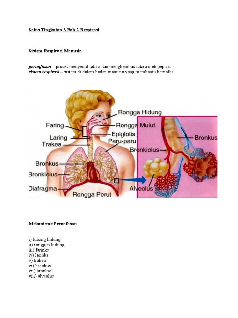 Nota Sains Tingkatan 3 Bab 2 2 1 Respirasi Pdf