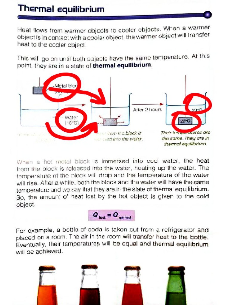 Thermal Equilibrium and Heat Flow | PDF