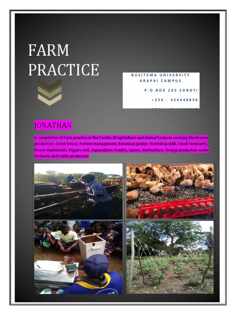 Farm Practice PDF | PDF | Beehive | Plough