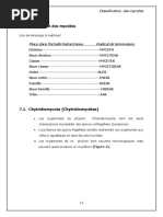 Sporulation et structure des spores bactériennes | PDF | Spore | Biologie