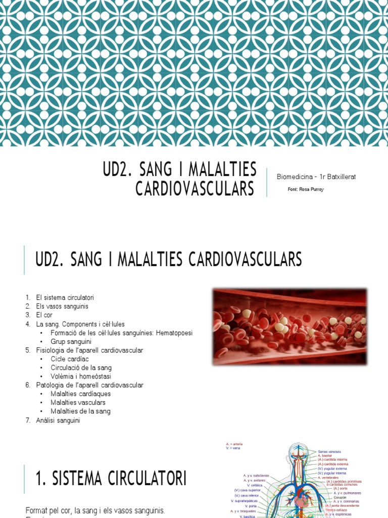 Ud2 Sang I Malalties Cardiovasculars | PDF