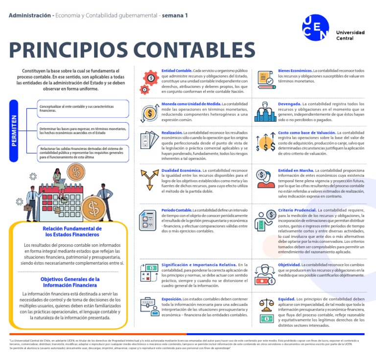 Principios Contables | PDF | Contabilidad | Economias