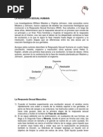 RESPUESTA SEXUAL HUMANA - (Masters y Johnson) | PDF | Orgasmo ...