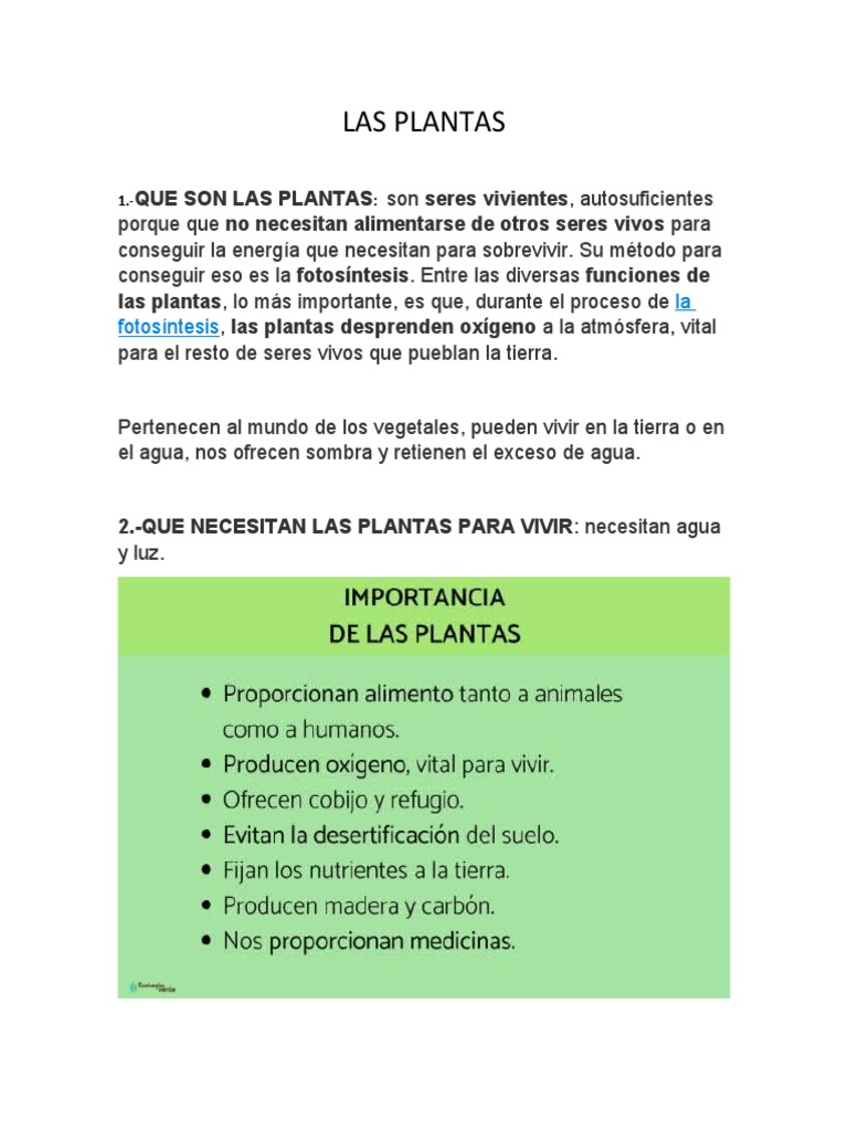 Plantas | PDF | Ciencia y matemáticas