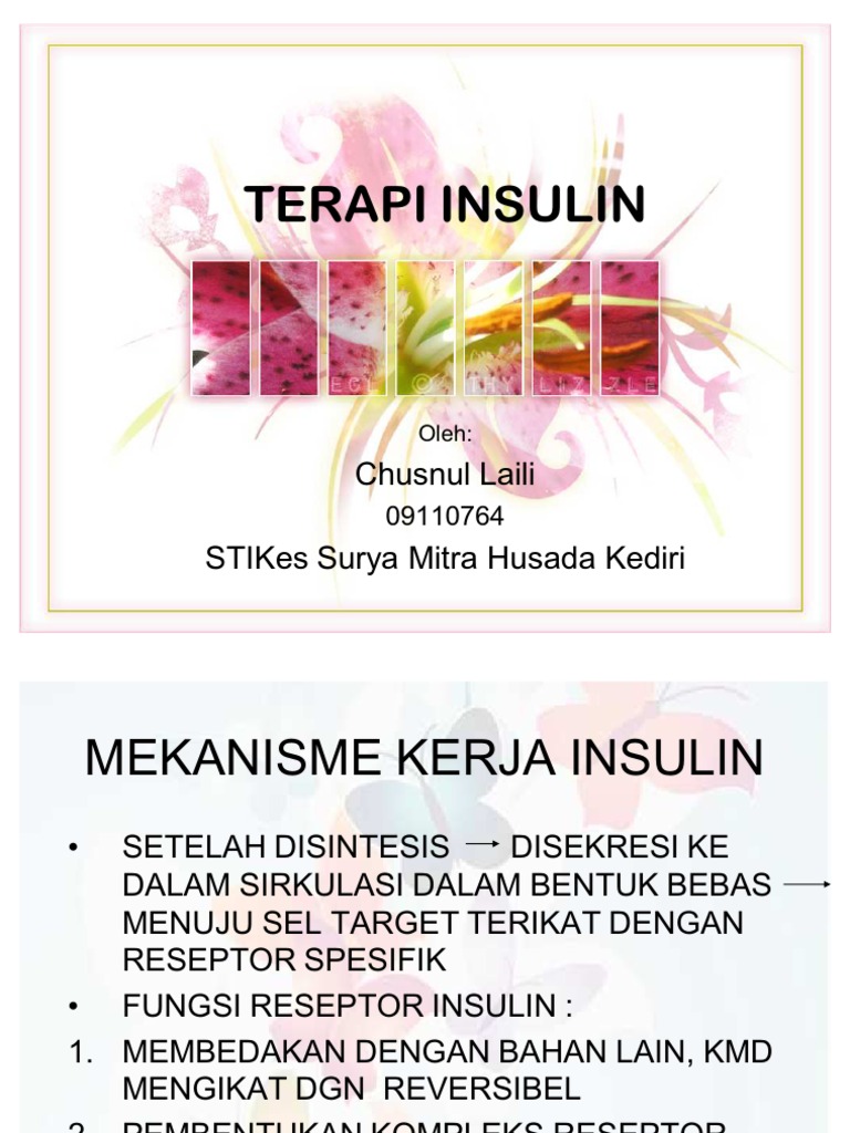 Terapi Insulin