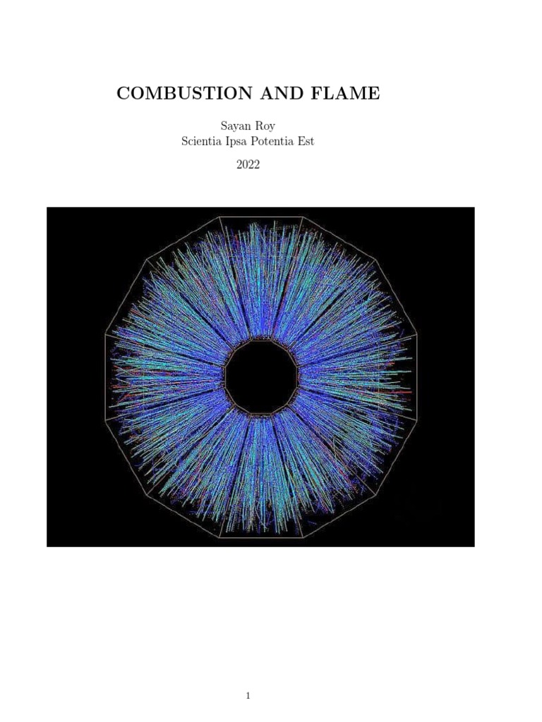 Types of Combustion Explained for Class 8 | PDF | Combustion | Fires