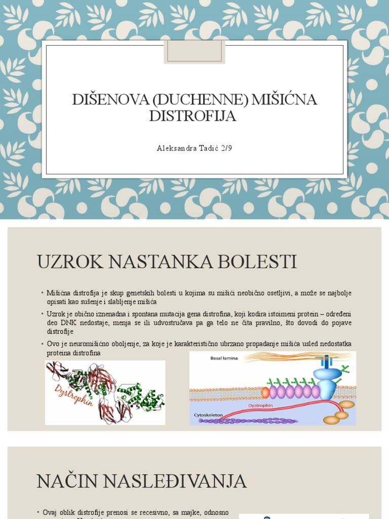Duchenova Mišićna Distrofija | PDF