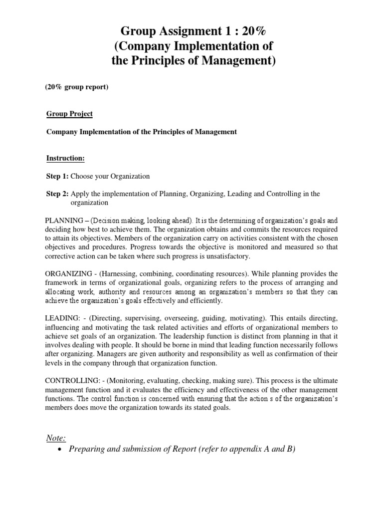 Group Assignment 1 Guidelines | PDF | Goal | Leadership