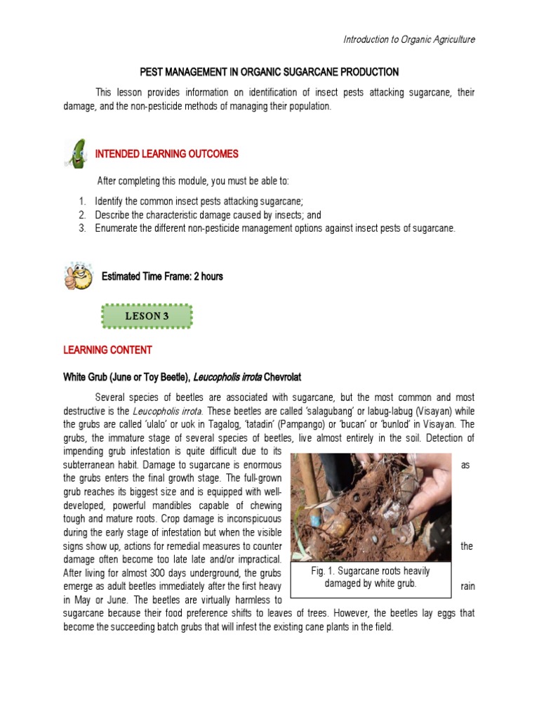 Chapter 4 And Chapter 5 Pdf Plant Pathology Crop Rotation