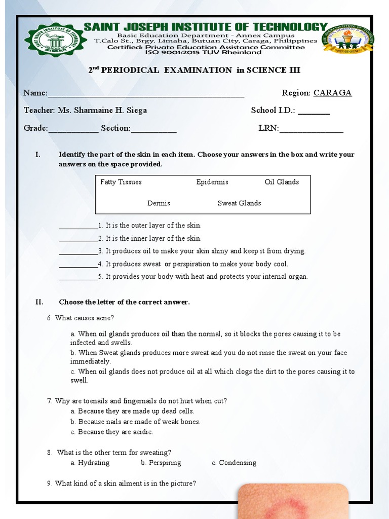 Grade 3 Science Periodical Exam | PDF | Skin | Nail (Anatomy)