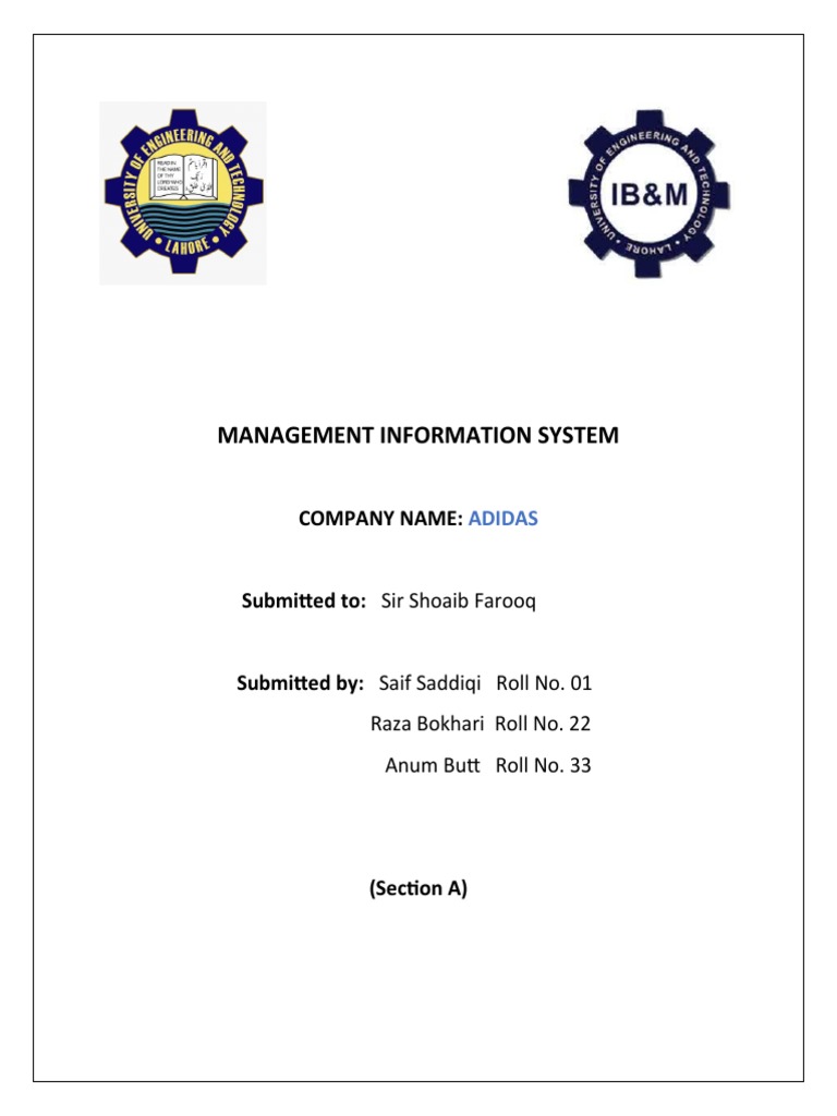Management Information System | PDF | Customer Relationship Management | Supply Chain