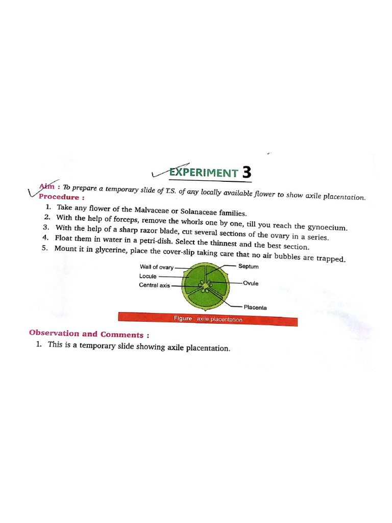 Slide Preparation | PDF