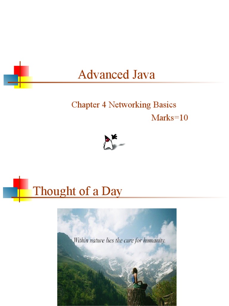 Chapter 4 Networking Basics | PDF | Computer Network | Port (Computer Networking)