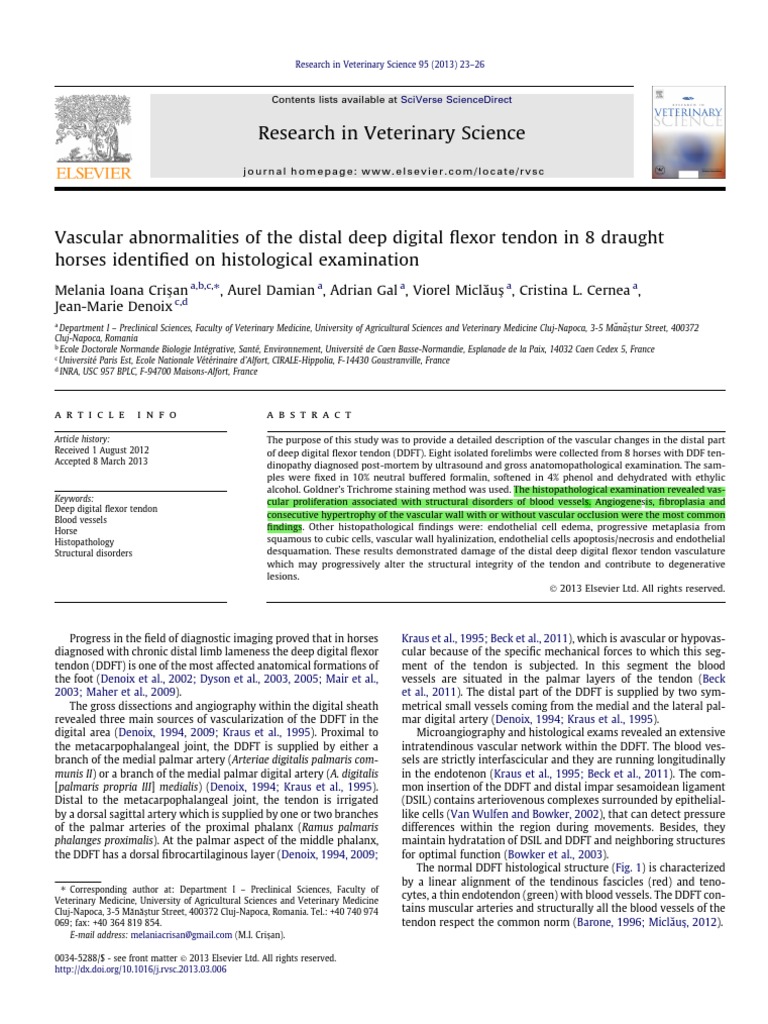 Vascular Abnormalities of The Distal Deep Digital Flexor Tendon in 8 ...