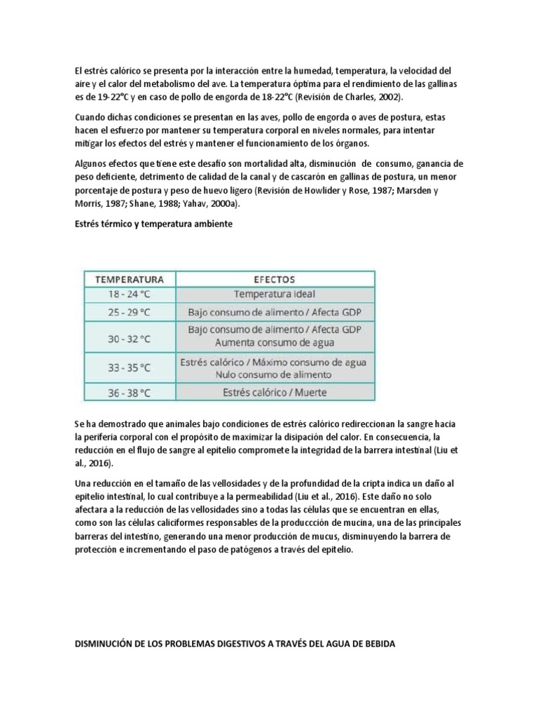 El Estrés Calórico AVES ART | PDF | Termorregulación | Alimentos