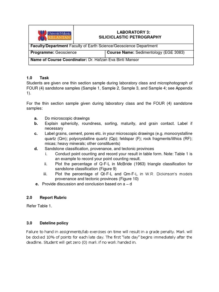 Sandstone Petrography Lab Report | PDF | Sandstone | Earth Sciences