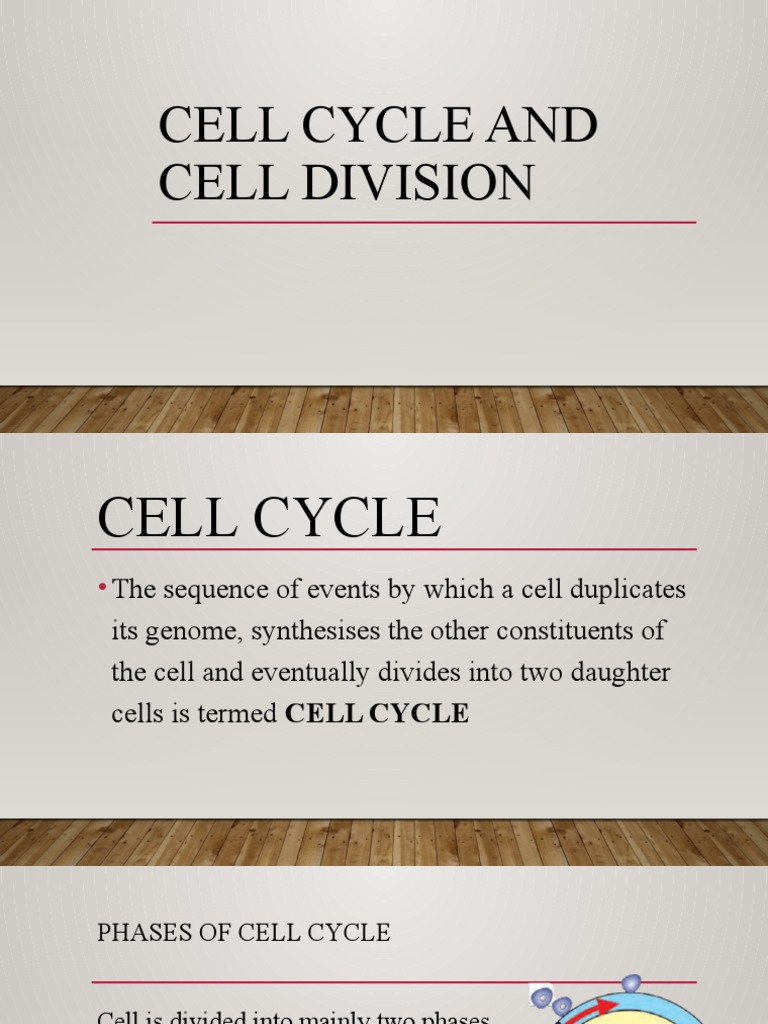 Cell Division and Cell Cycle | PDF | Mitosis | Cell Cycle
