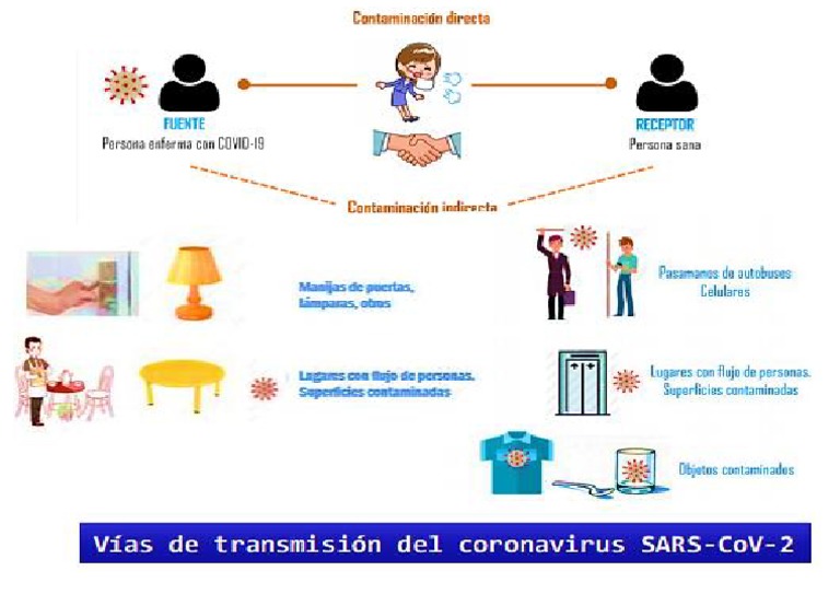 Vias de Transmision Del Coronavirus | PDF