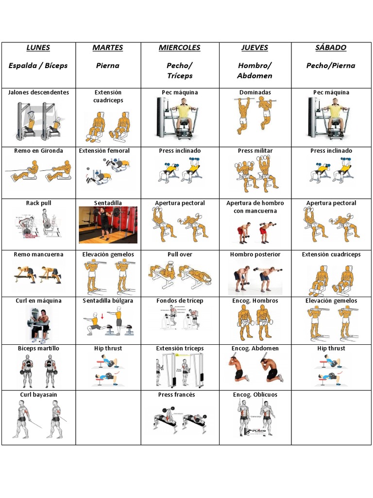 Rutina Ejercici | PDF