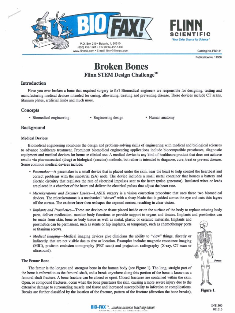Broken Bones Lesson Plan | PDF