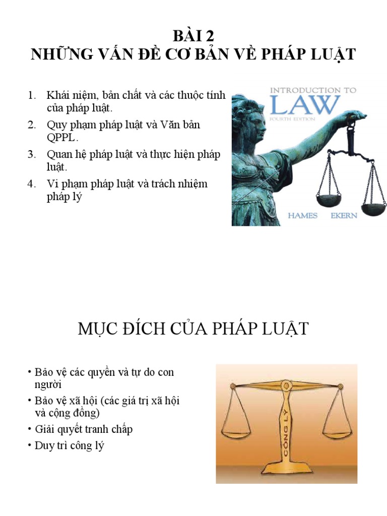 Bai 2 Phap Luat | PDF