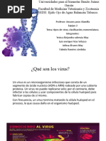Clasificación Viral de Baltimore | PDF | Virus | Rna