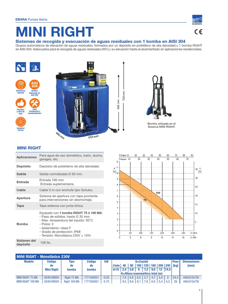 Ebara Miniright Bomba Sumergible+pit | PDF