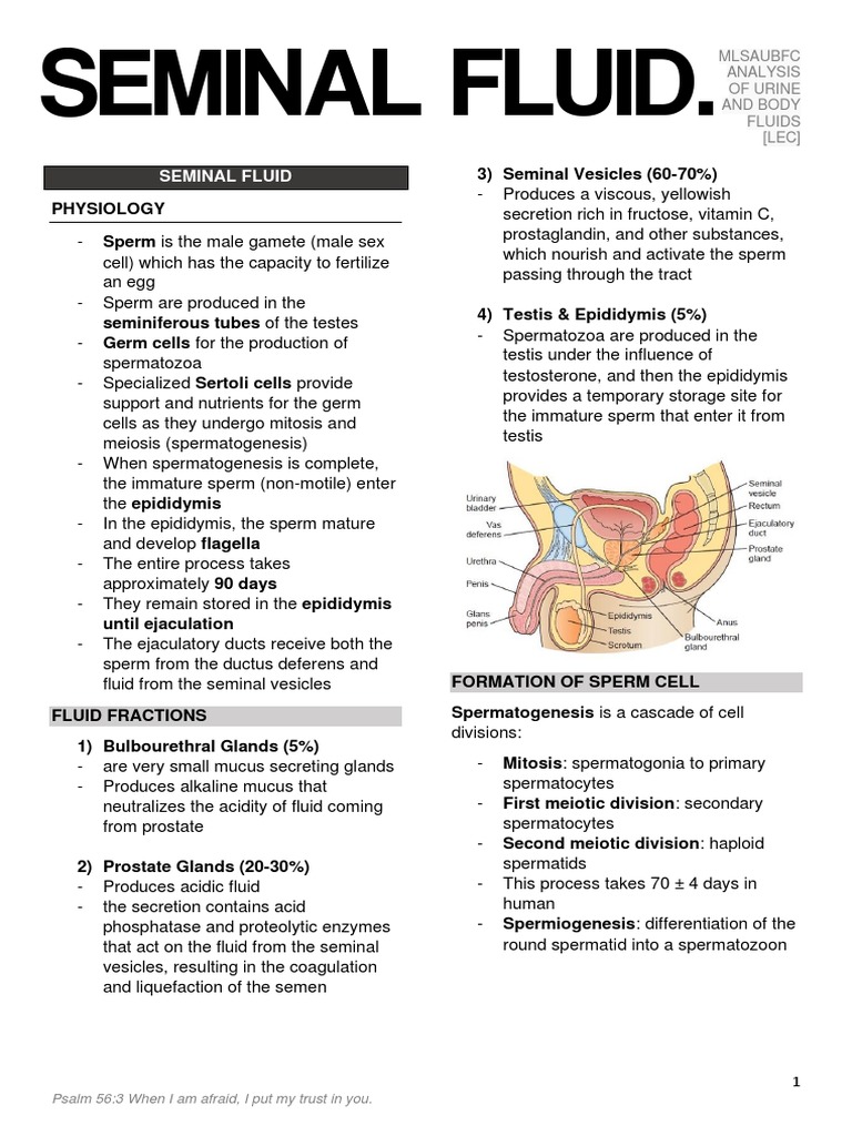 2 Seminal Fluid | PDF | Sperm | Semen