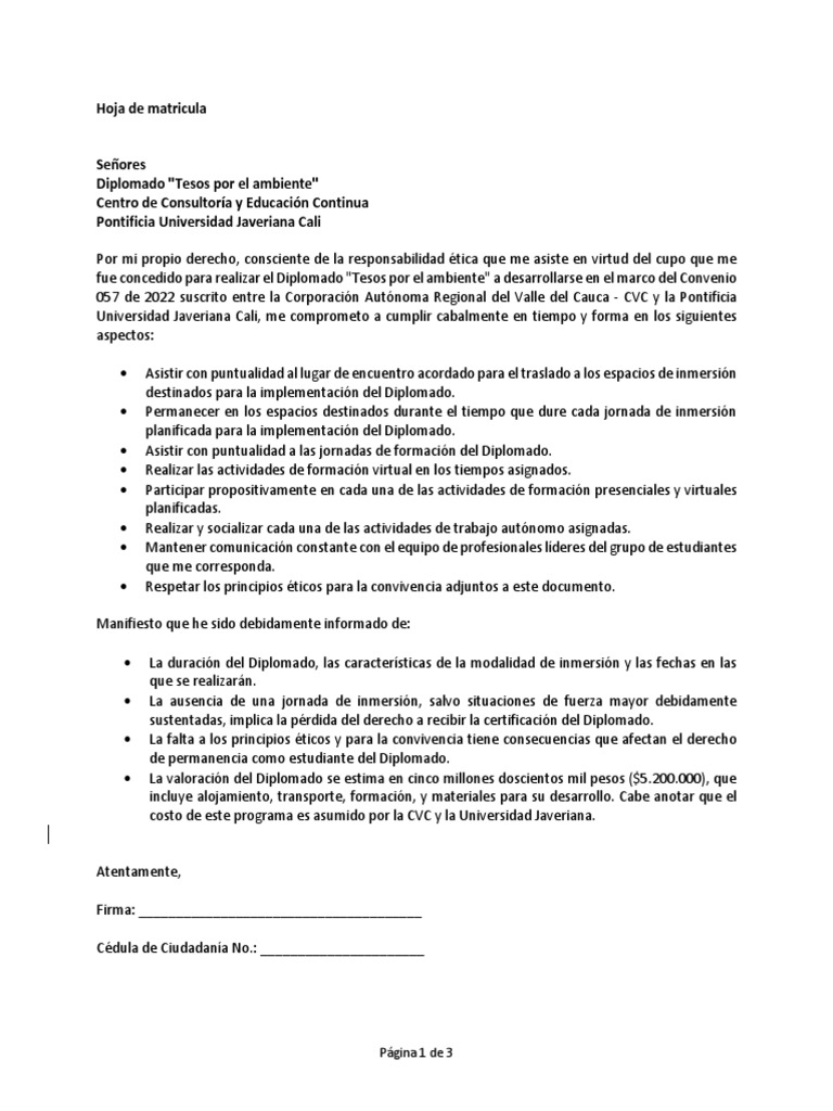 Modelo Carta de Compromiso | PDF