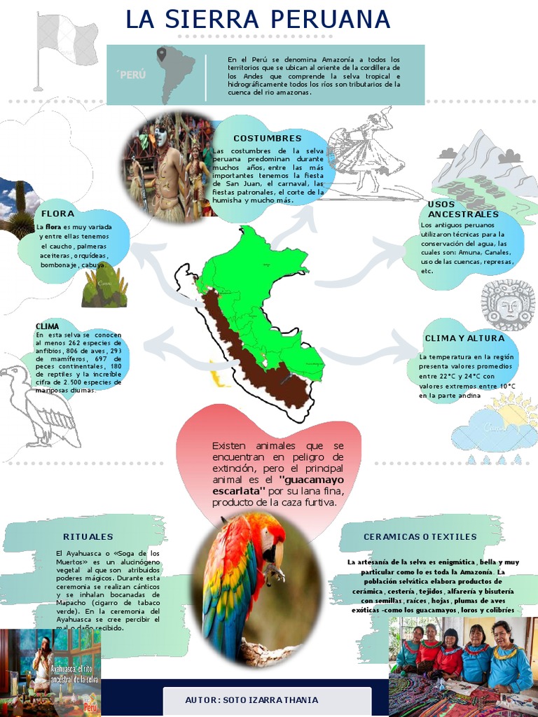 Selva Peruana | PDF | Selva amazónica | Perú