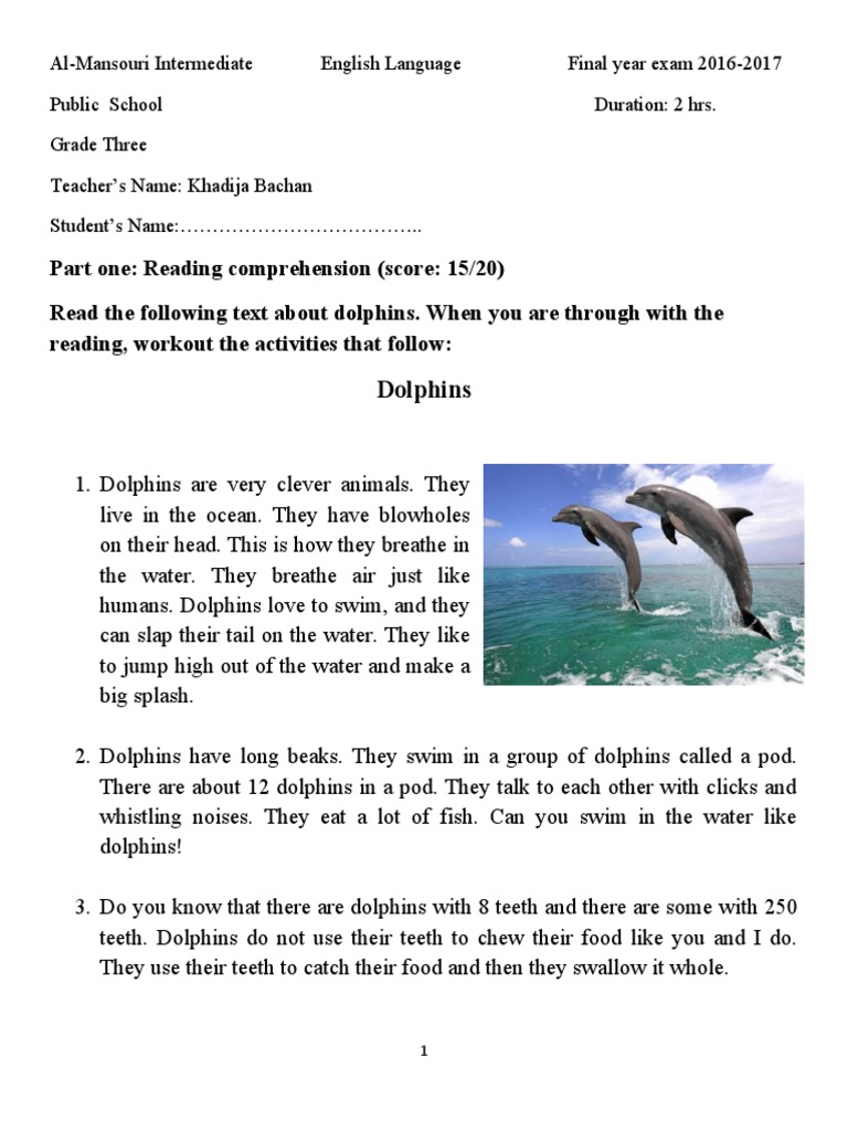 Dolphins Grade 3 | Download Free PDF | Dolphin | Cetacea