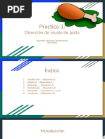 Disección Muslo de Pollo Informe | PDF | Hueso | Músculo