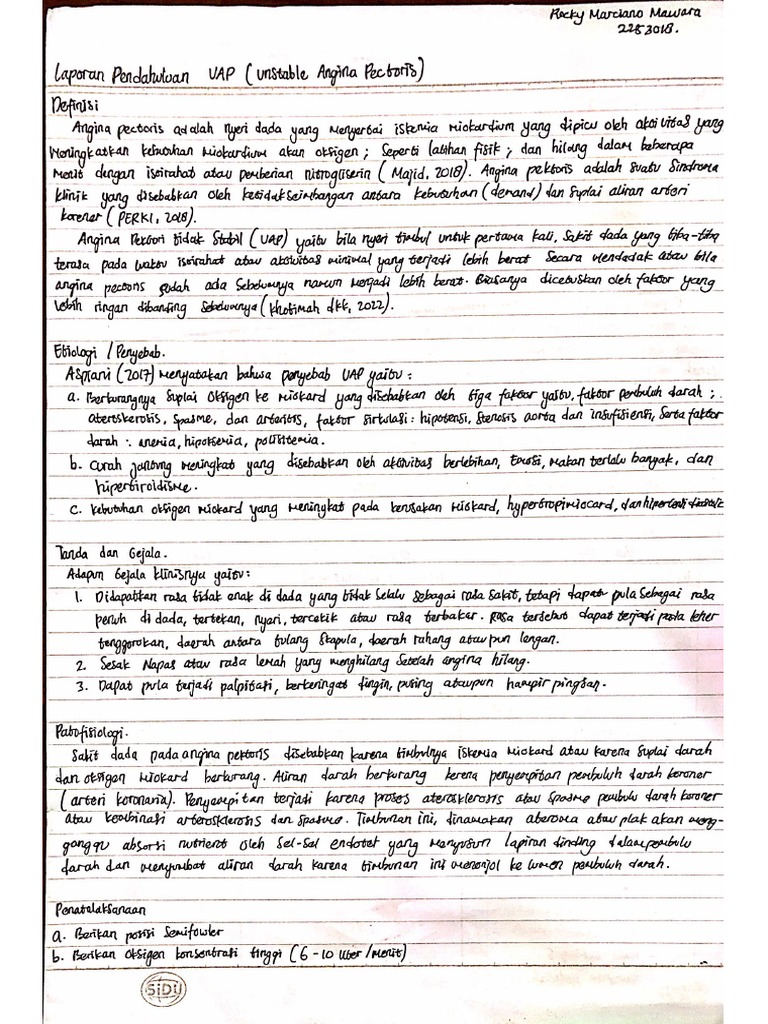 LP 3 UAP (Unstable Angina Pectoris) | PDF