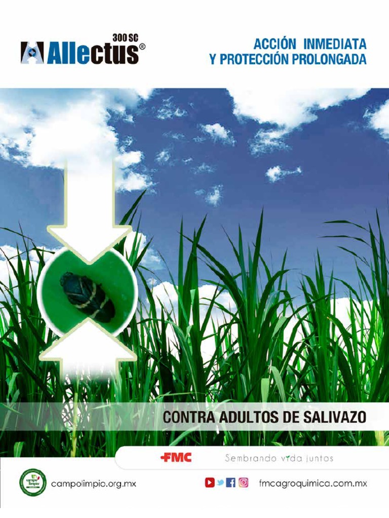 Allectus 300 Folletos | PDF