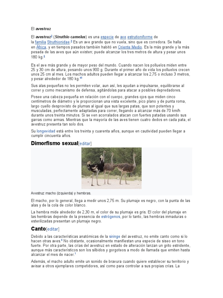 El Avestruz | PDF | Ornitología | Aves