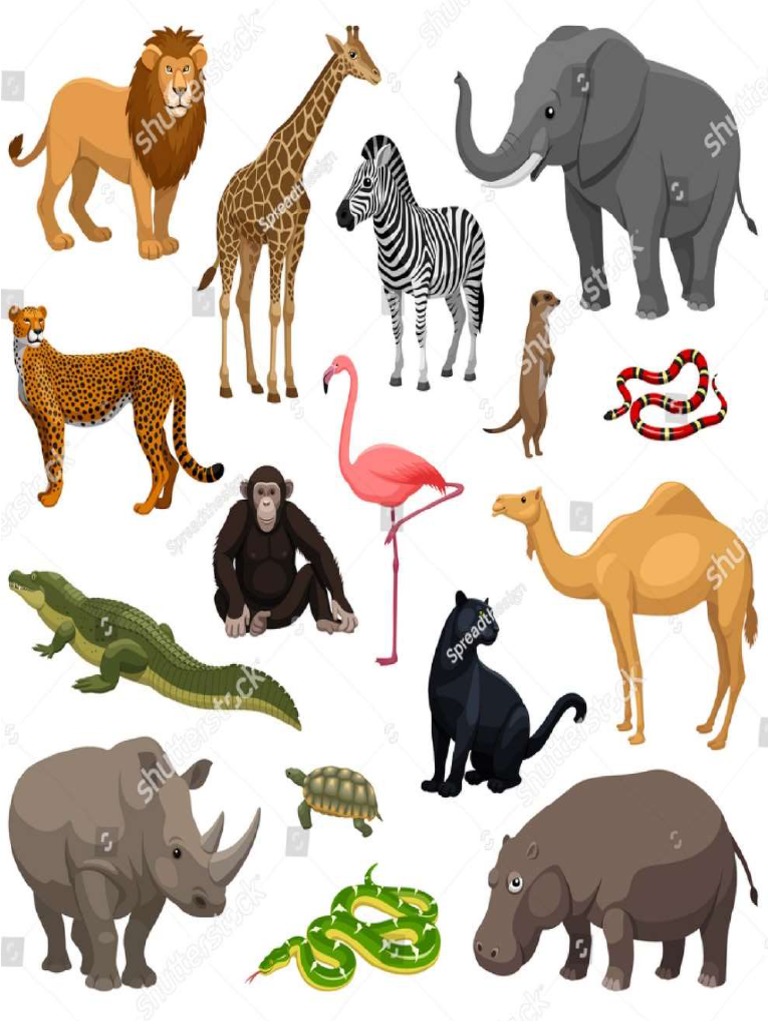 Animales Del Ecosistema | PDF